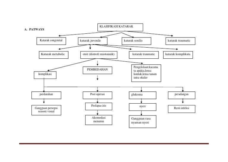 Pathway Katarak | PDF
