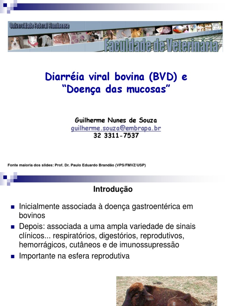 Aula BVD | PDF | Vírus | Especialidades médicas