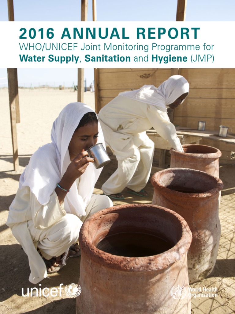 JMP 2016 Annual Report | PDF | Wash | Sanitation