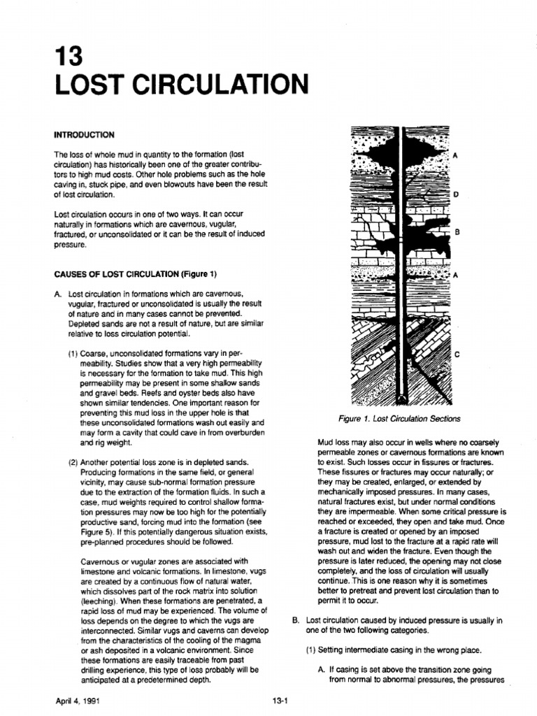 Lost Circulation | PDF