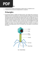 Petrifilm Enterobacteriaceae EB Count Plate Interpretation Guide | PDF ...