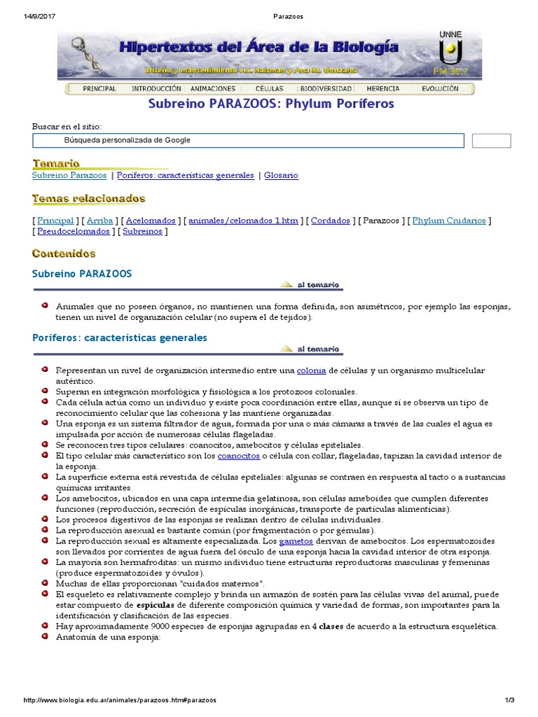 Para Zoos | PDF | Esponja | Biología Celular)