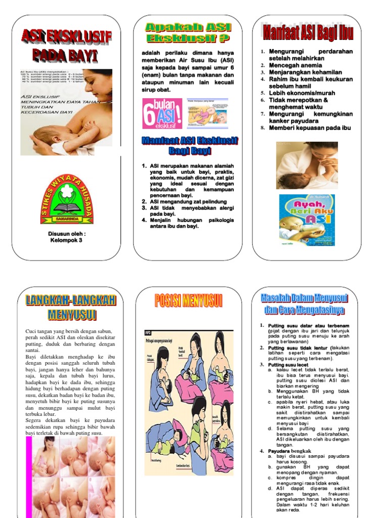 Leaflet Asi Eksklusif | PDF