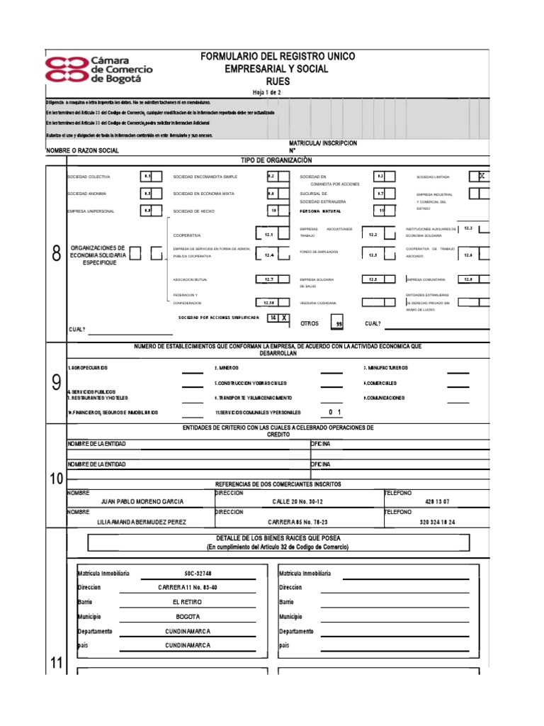 Formulario Del Rues Hoja 2 | PDF