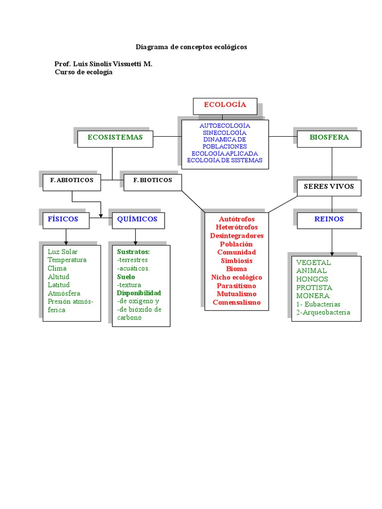 Diagrama de Conceptos Ecológico3 | Ecología | Ecosistema