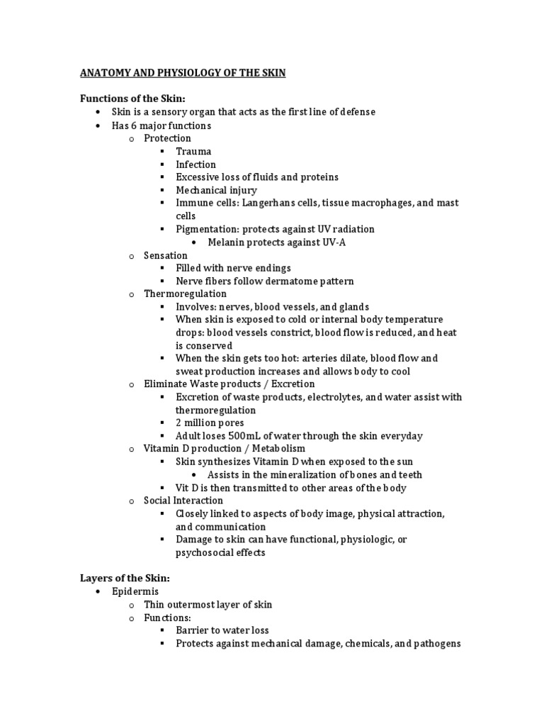 Anatomy and Physiology of The Skin | PDF | Skin | Integumentary System