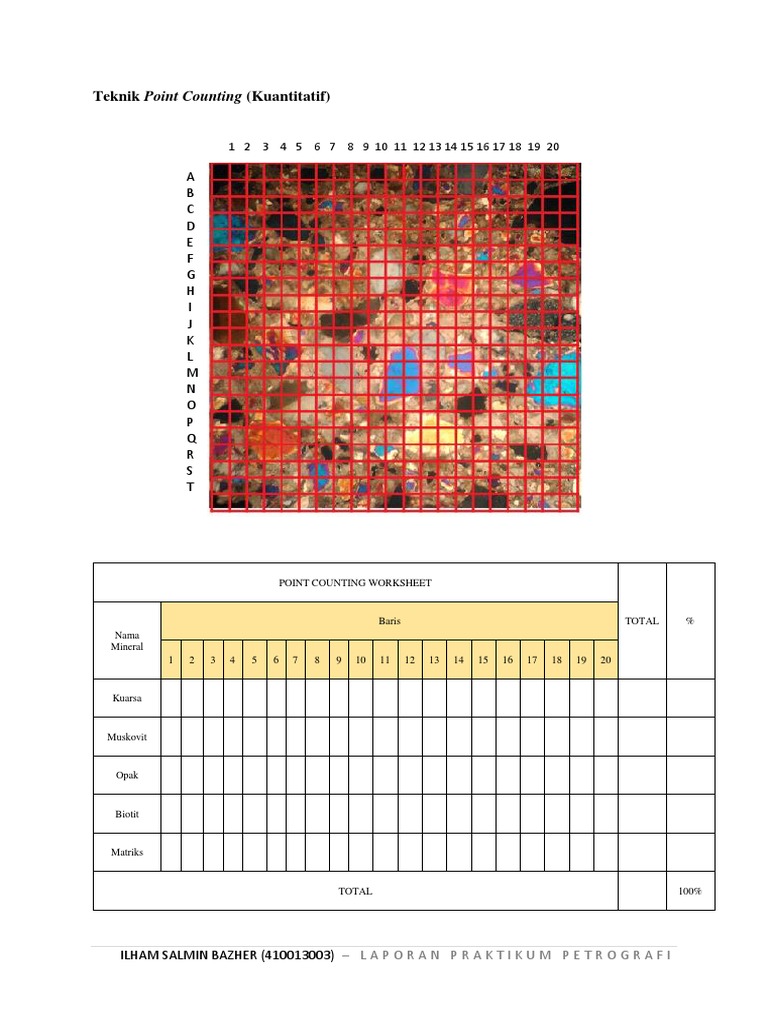 Teknik Point Counting | PDF