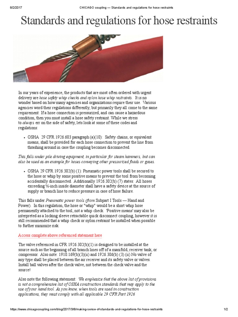 Whip Checks | PDF | Whip | Safety