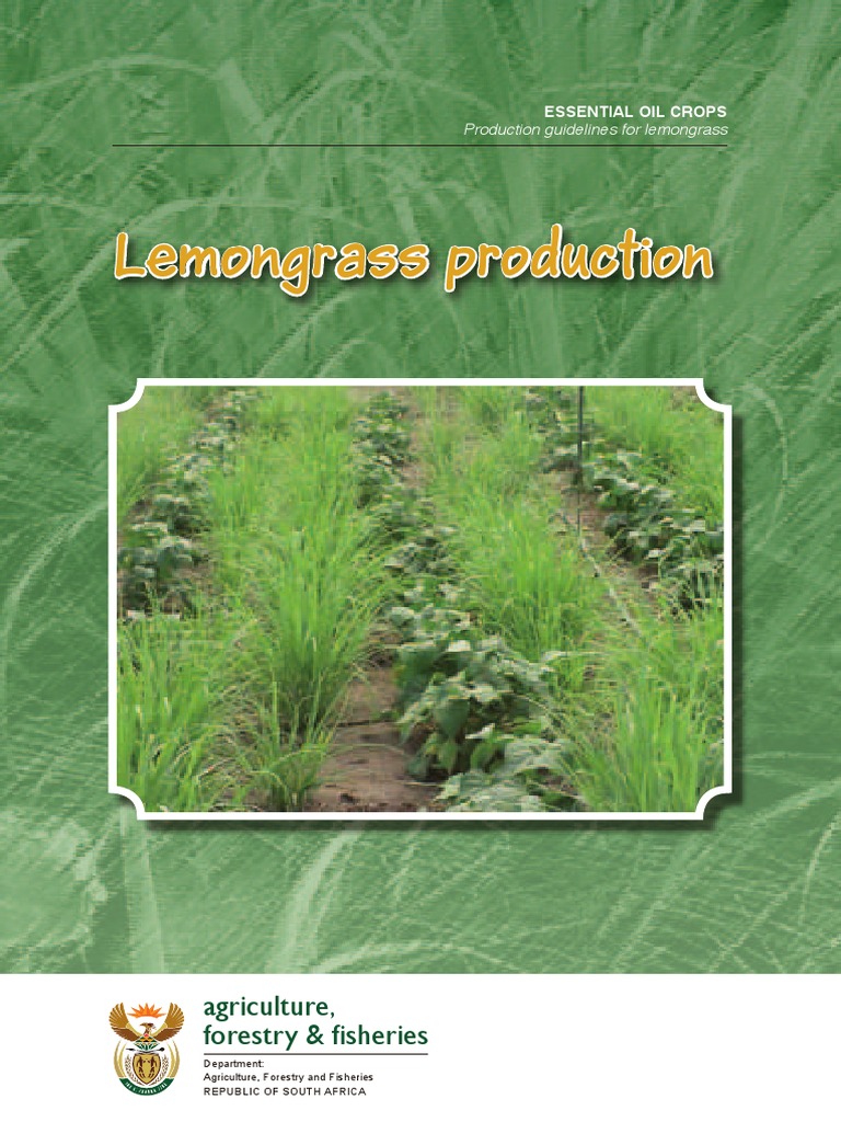 Lemon Grass Project Proposal | PDF | Soil | Plant Nursery