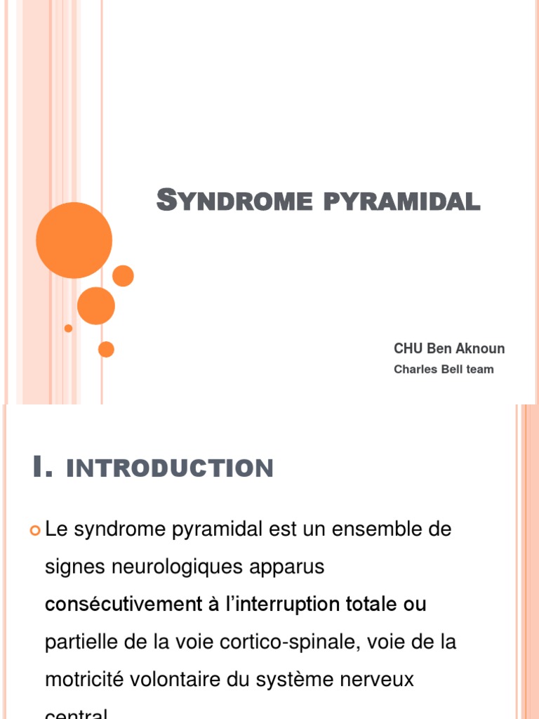 N Syndrome Pyramidal 2015 | PDF | Appareil locomoteur | Anatomie humaine