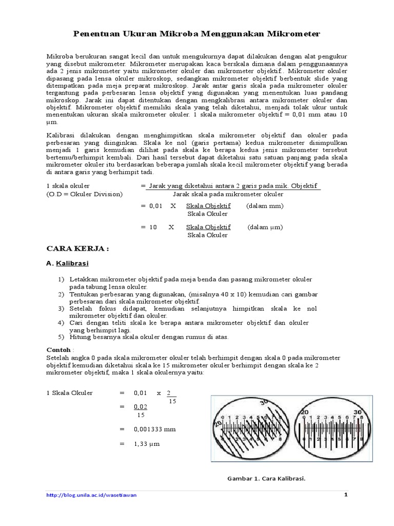 Ukuran Mikroba dengan Mikrometer | PDF