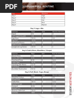Push Pull Legs Program | PDF | Technology & Engineering