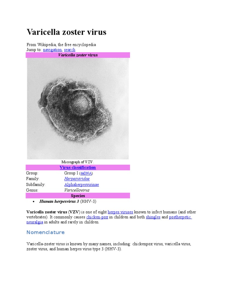 Varicella Zoster Virus | Animal Diseases | Tree Of Life (Biology ...