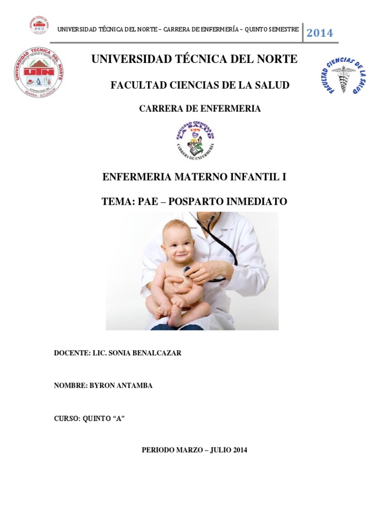 Pae Puerperio Inmediato | PDF | Periodo posparto | Parto