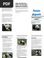 Infografia Del Panda | PDF | Panda gigante | Osos
