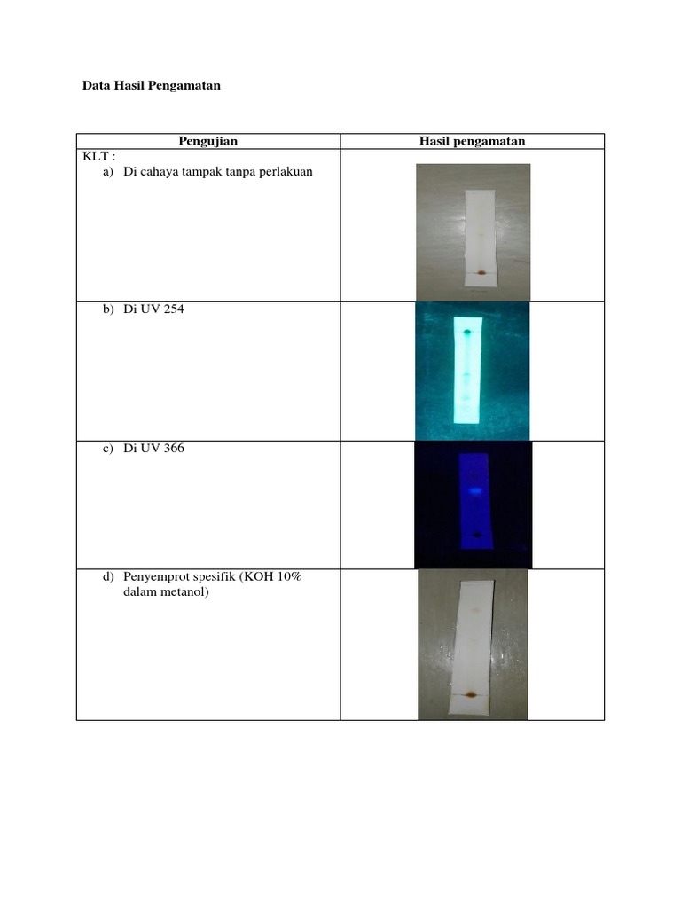Data Hasil Pengamatan KLT Fix | PDF