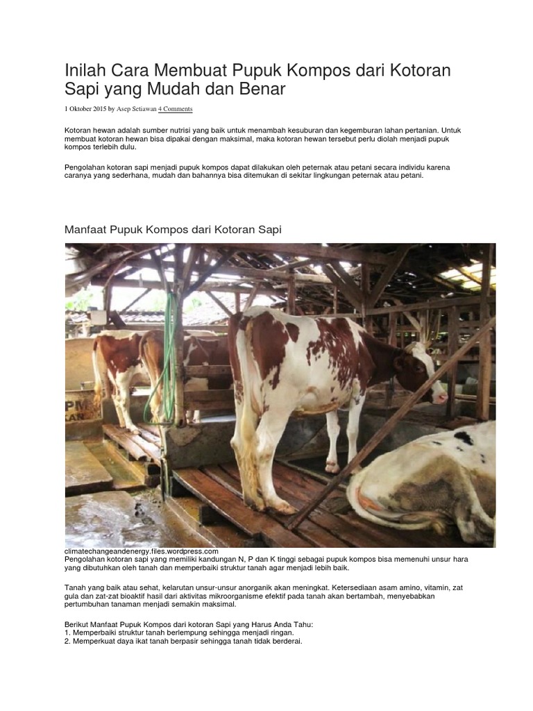 Inilah Cara Membuat Pupuk Kompos Dari Kotoran Sapi Yang Mudah Dan Benar ...