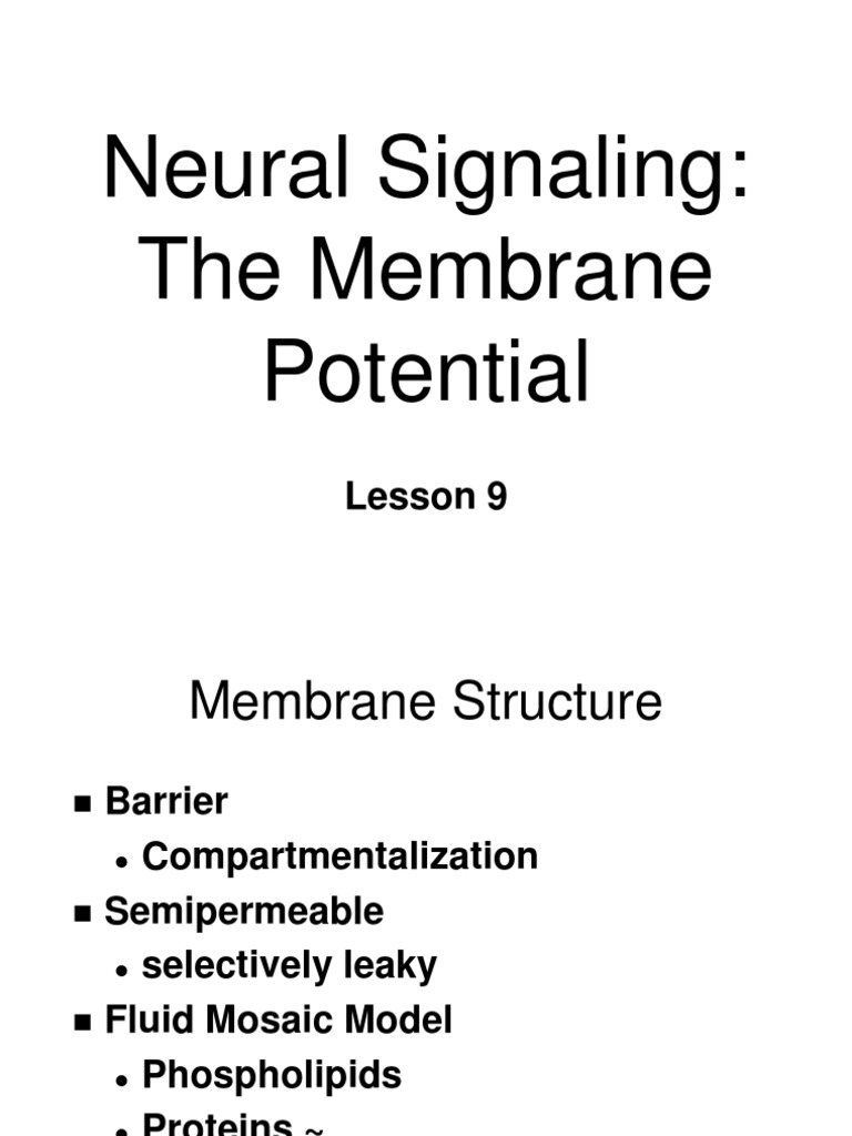 Neural Signaling: The Membrane Potential: Lesson 9 | PDF | Membrane ...