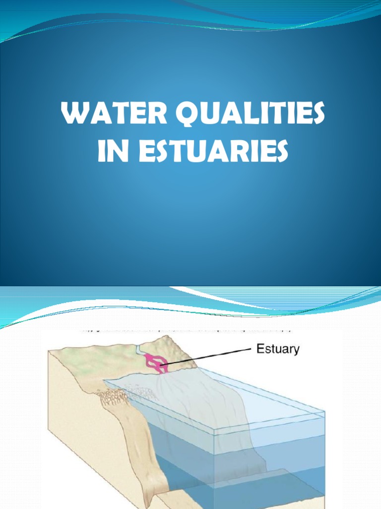 Water Qualities in Estuaries | PDF | Estuary | Marsh