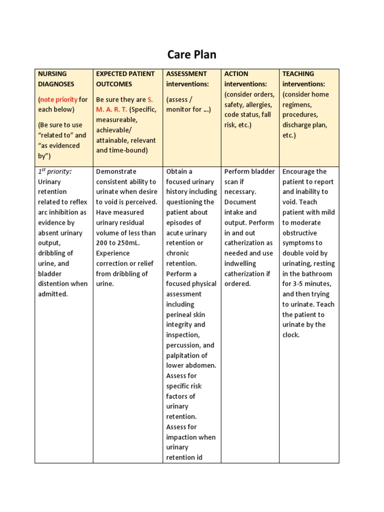 Care Plan | PDF | Urinary Incontinence | Urination