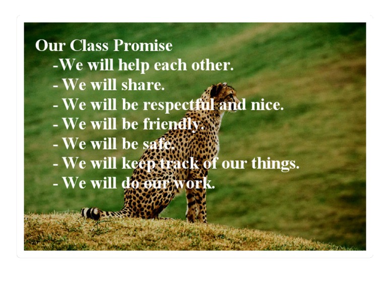 Class Promise: Commitment to Respect | PDF | Language Arts & Discipline ...
