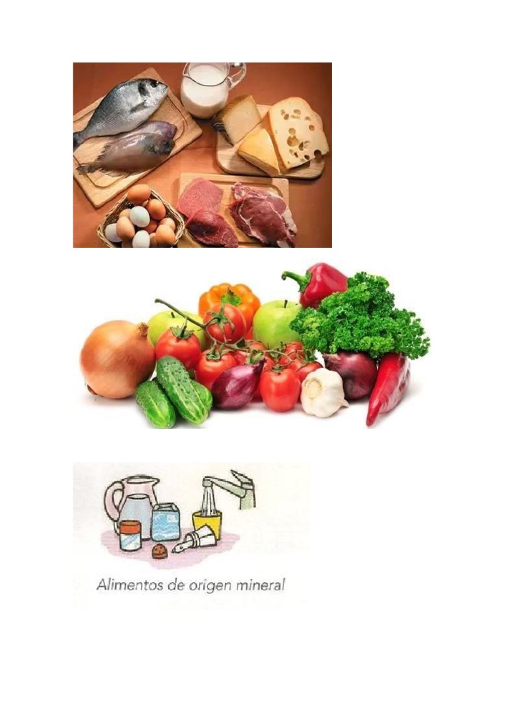 alimentos de origen animal vegetal y mineral.docx