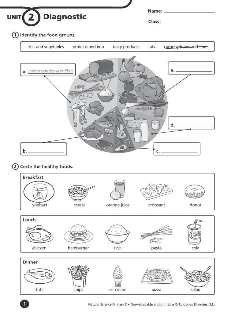 Unit2 Natural Science 3 | PDF