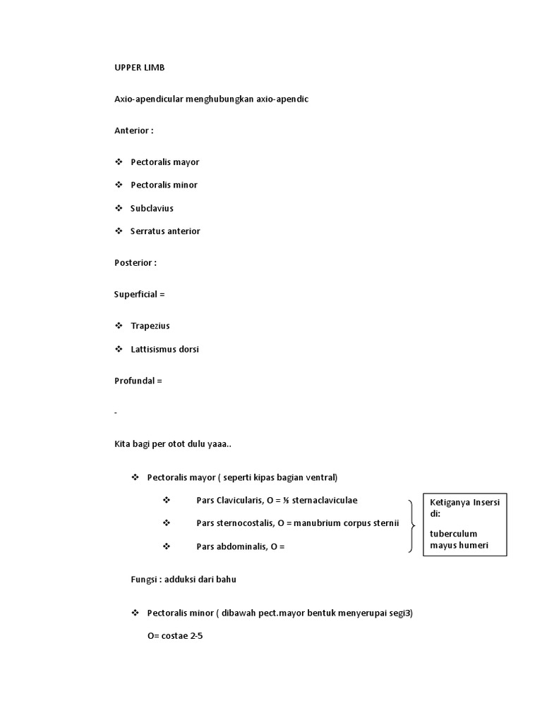 Anatomi - Upper Limb | PDF