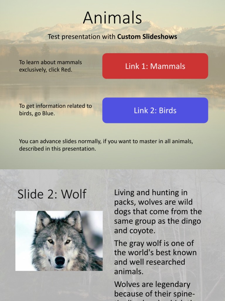 Animals: Test Presentation With Custom Slideshows | PDF | Fox | Gull