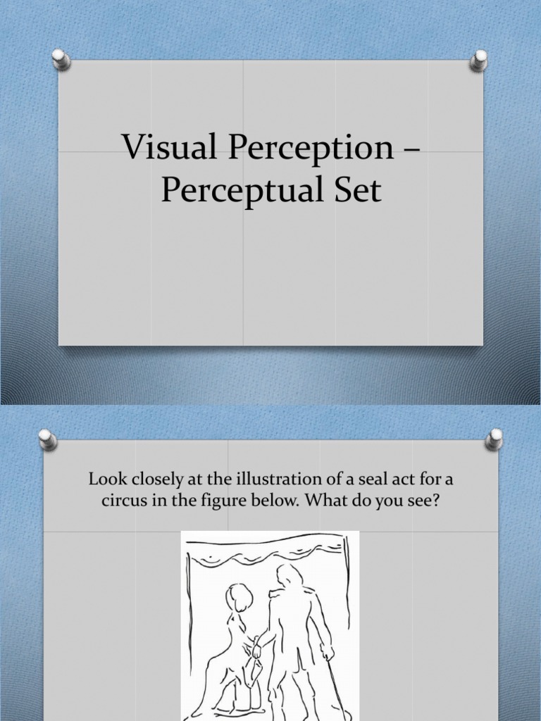 Understanding Visual Perception | PDF | Perception | Motivation