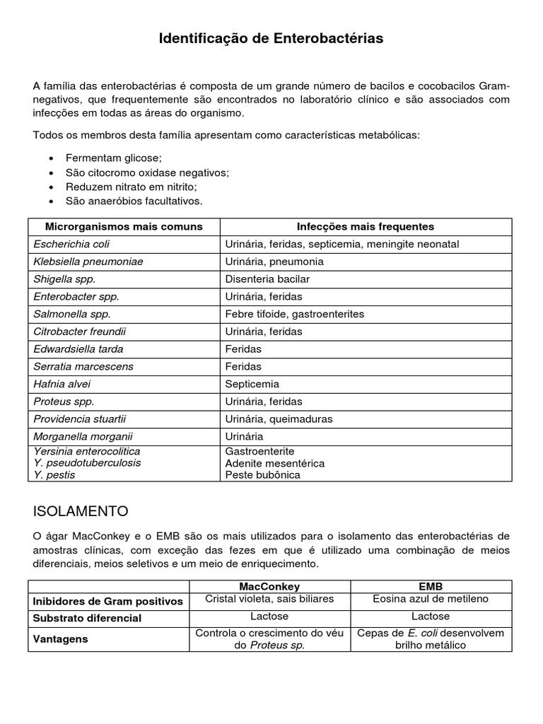 Identificação de Enterobactérias | Download grátis PDF | Bactérias Gram ...
