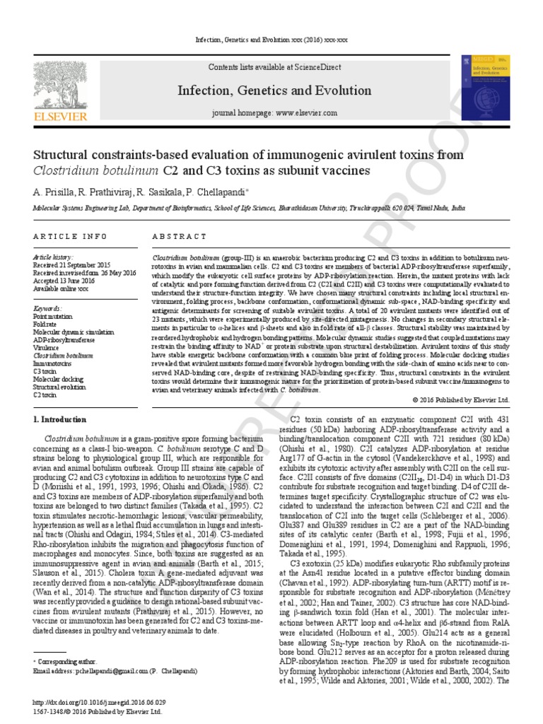 Research Paper 4 | PDF | Protein Folding | Mutation