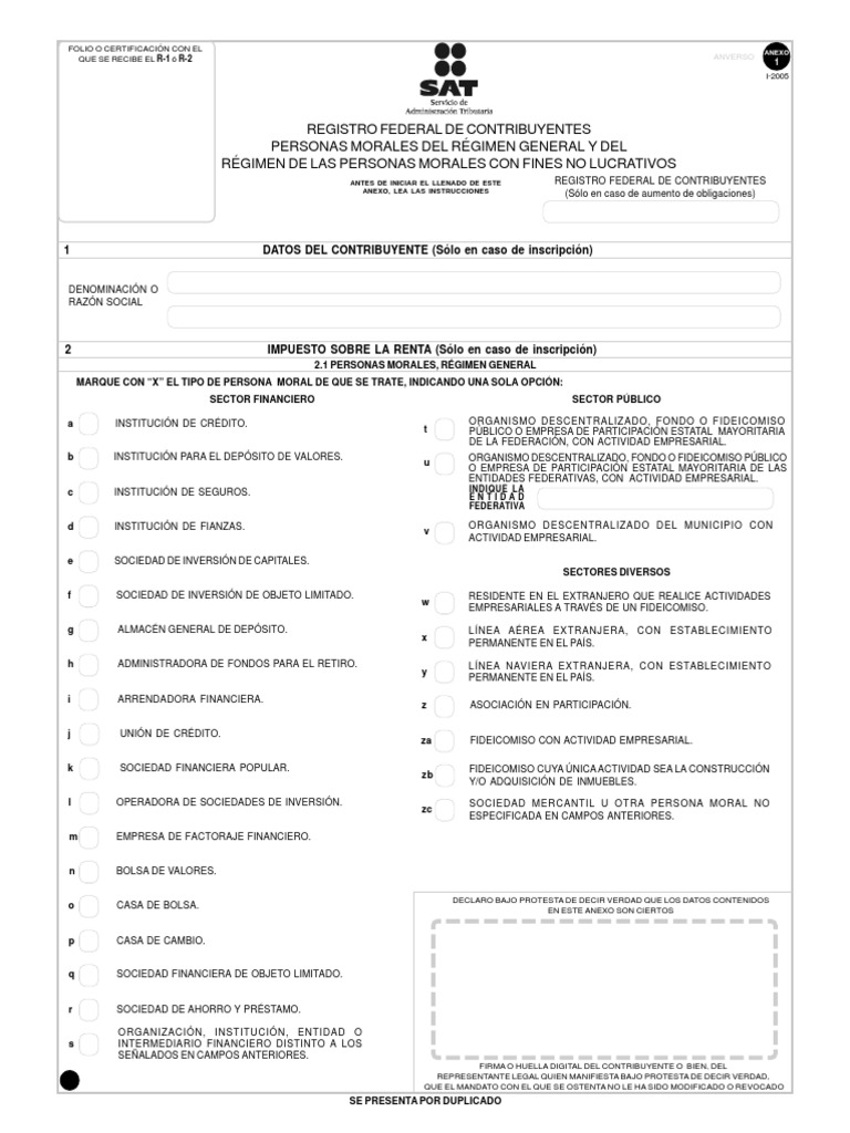 ANEXO Del Formato R1 | Empresa de inversiones | Impuestos