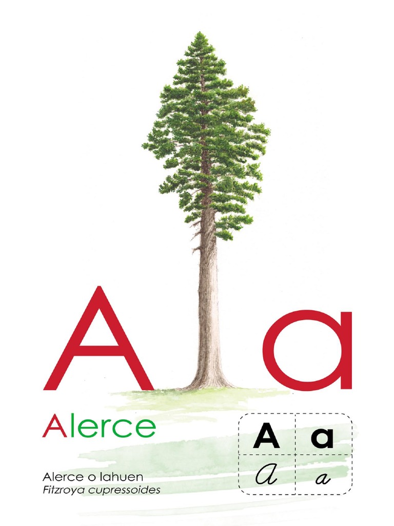 Abecedario Ecológico PDF | PDF