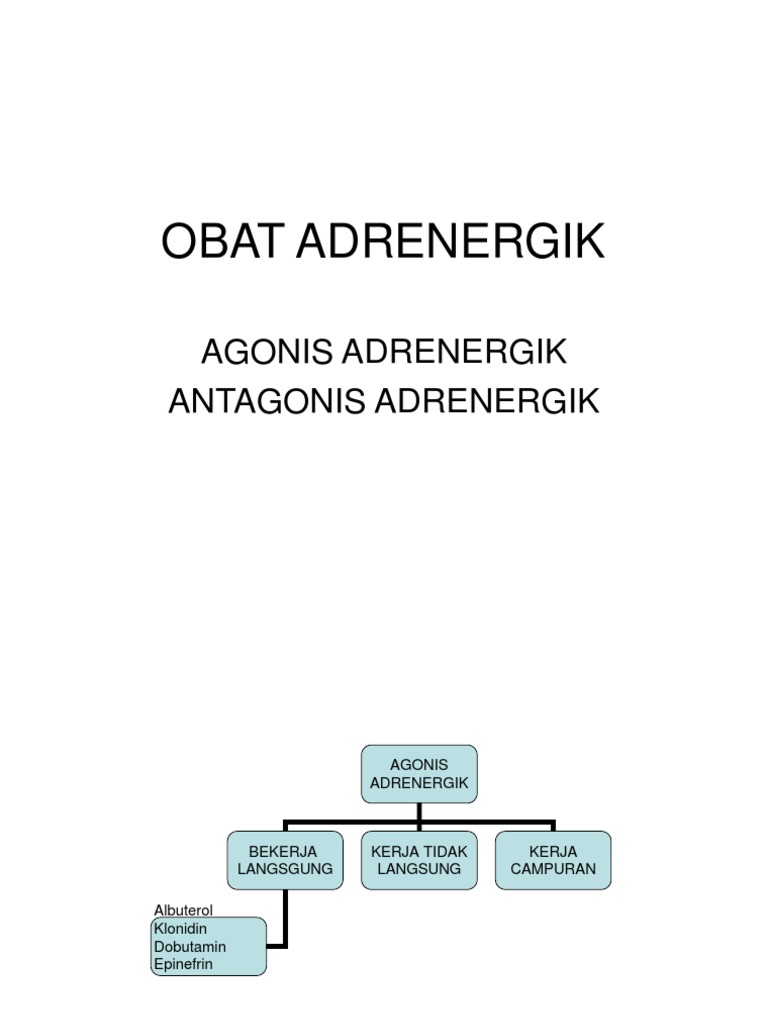 Panduan Lengkap Obat Adrenergik | PDF