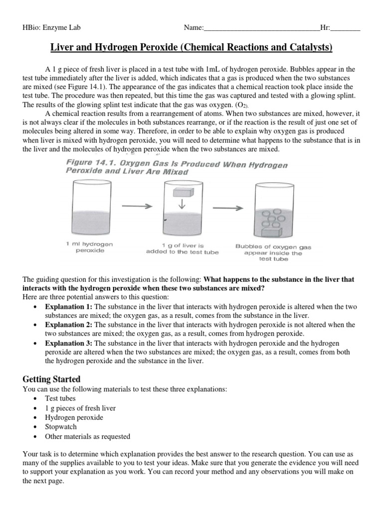 Liver and Hydrogen Peroxide (Chemical Reactions and Catalysts ...