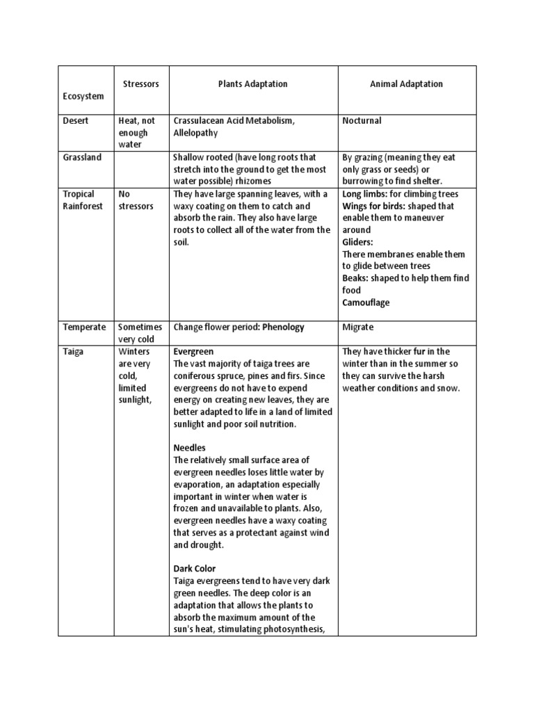Animal and Plant Adaptation | PDF | Pine | Trees