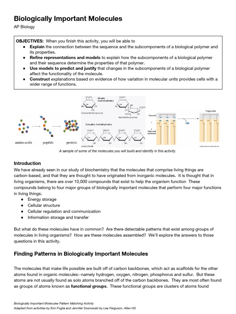 Exploring Biologically Important Molecules | PDF | Adenosine ...