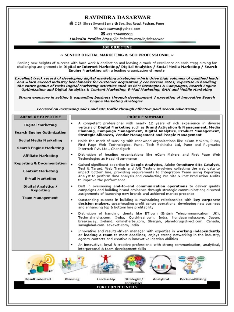 Digital Strategist Profile | Download Free PDF | Search Engine ...