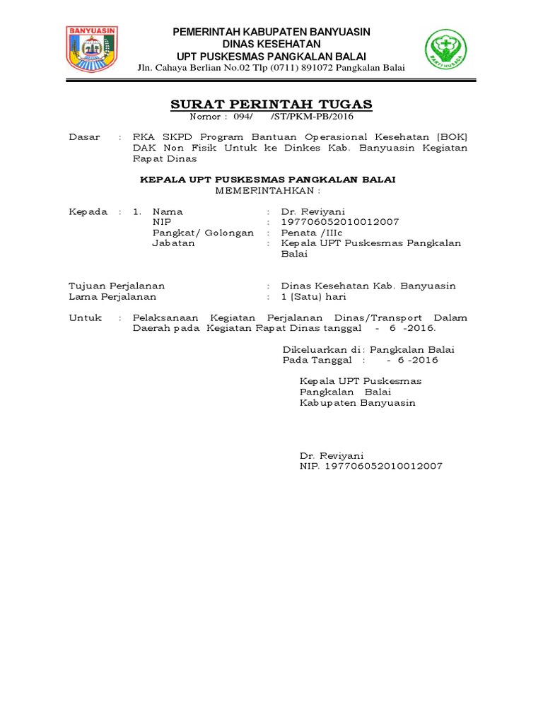 SPJ Rapat Dinas | PDF | Kesehatan Holistik
