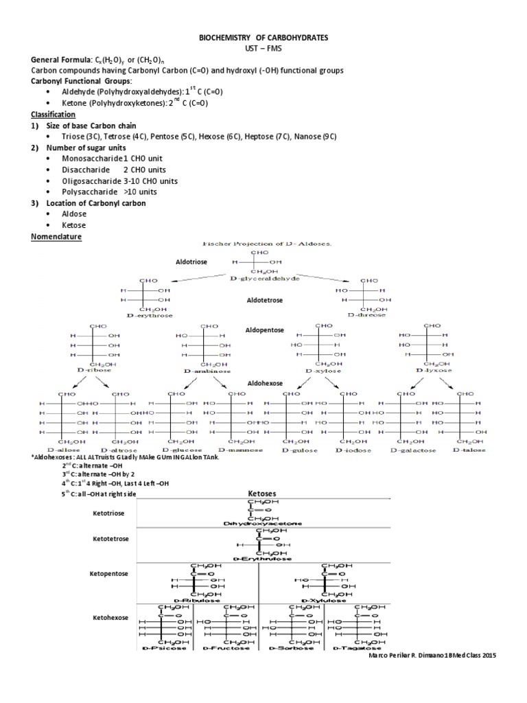 BIOCHEMISTRY OF CARBOHYDRATES.pdf | Carbohydrates | Polysaccharide