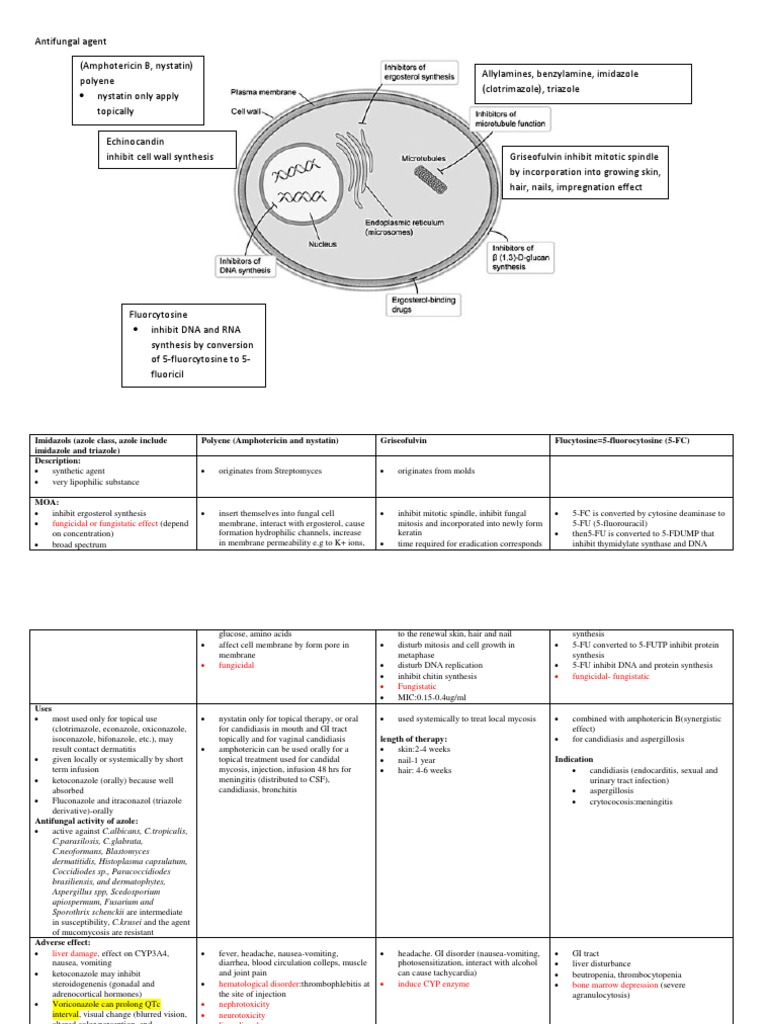 Fungicidal or Fungistatic Effect | PDF | Candidiasis | Biosynthesis