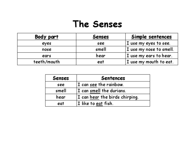 The Senses: Body Part Senses Simple Sentences | PDF | Senses | Nervous ...