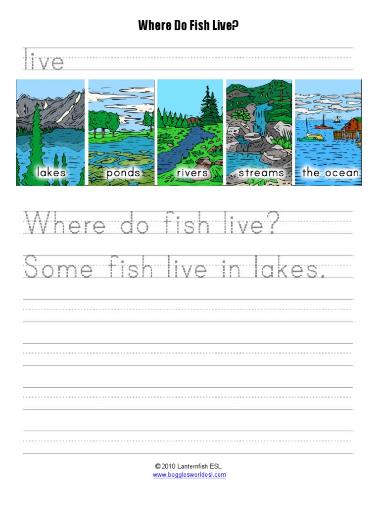 Where Do Fish Live | PDF