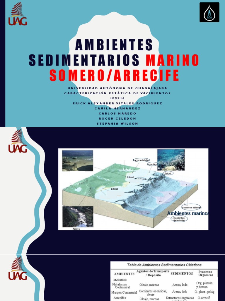 Ambientes Sedimentarios Marino Somero | Química | Materiales naturales