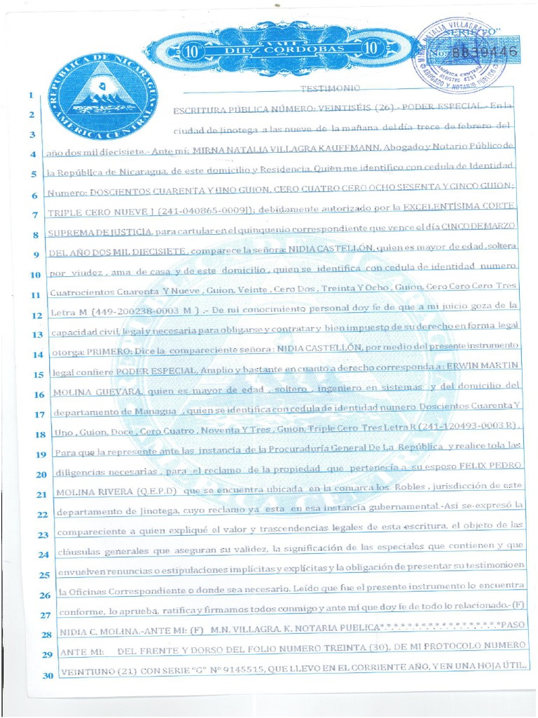Ejemplo de Poder Especial Nicaragua | PDF
