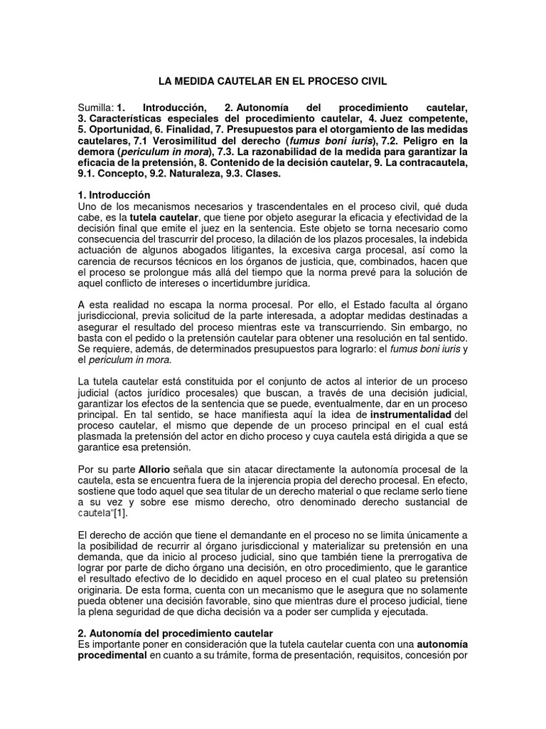 La Medida Cautelar en El Proceso Civil | PDF | Mandato | Ley procesal