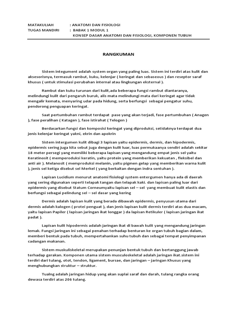 Rangkuman Anfis Integumen (Randi) | PDF