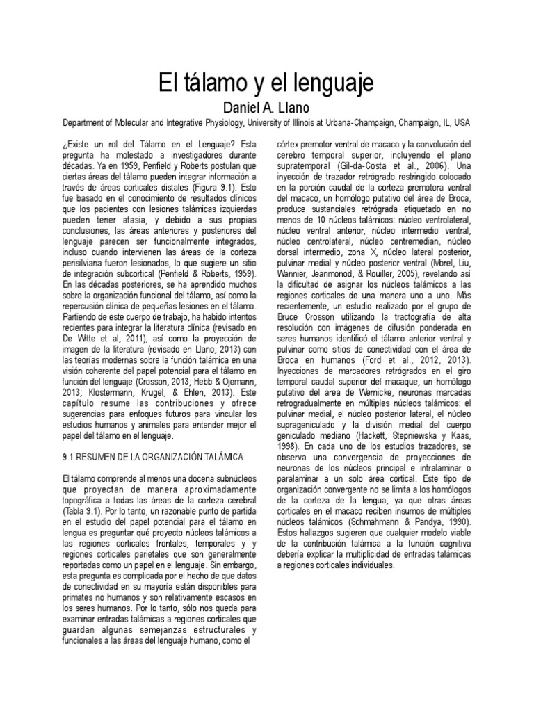 El Tálamo y su Rol en el Lenguaje | PDF | Tálamo | Corteza cerebral
