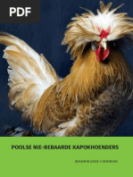 Za T T 2546651 Hoe Om N Hond Te Versorg Begripslees Aktiwiteit ...